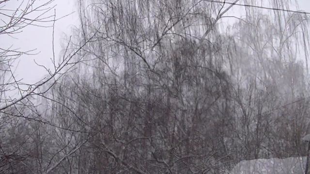 Прогулка в Старом Косино