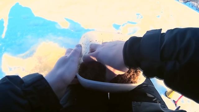 Что делать со старым мотылём.