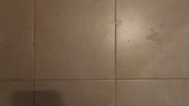 Перекраска межплиточных швов