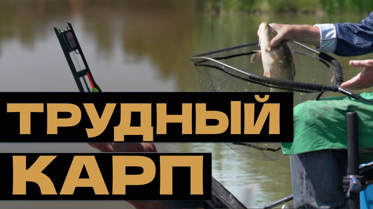 Как заставить клевать карпа на поплавок. Удочка с кольцами - болонское удилище