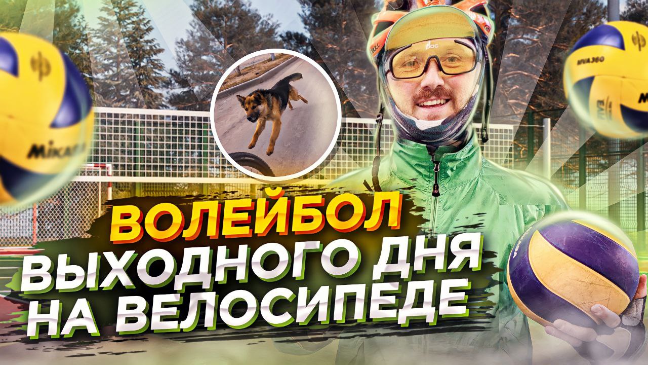 Волейбол на велосипеде. Удирал от собак.