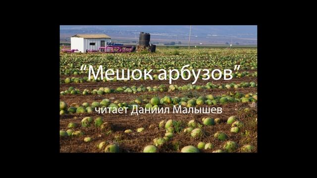 Мешок арбузов.mp4