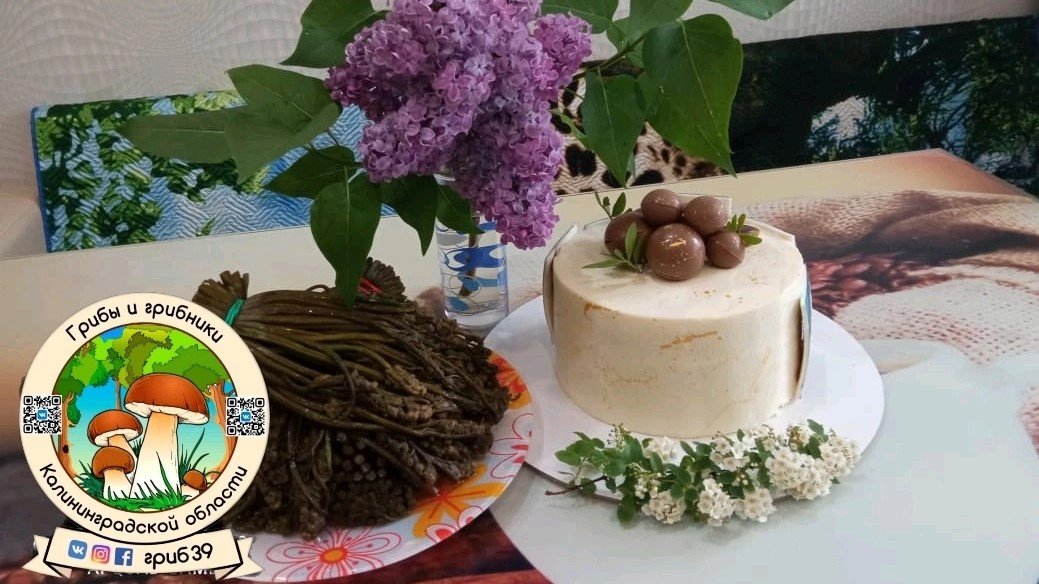 КАК ЗАСОЛИТЬ ПАПОРОТНИК ОРЛЯК ( РЕЦЕПТ ПРИГОТОВЛЕНИЯ). вкусное, постное блюдо. готовим дикоросы.mp4