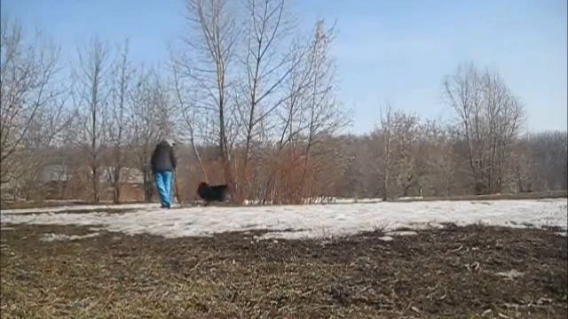 Фризби Фристайл 2016  Оксана и Юстас.mp4