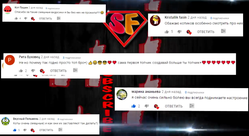 Смешные кошки приколы с кошками