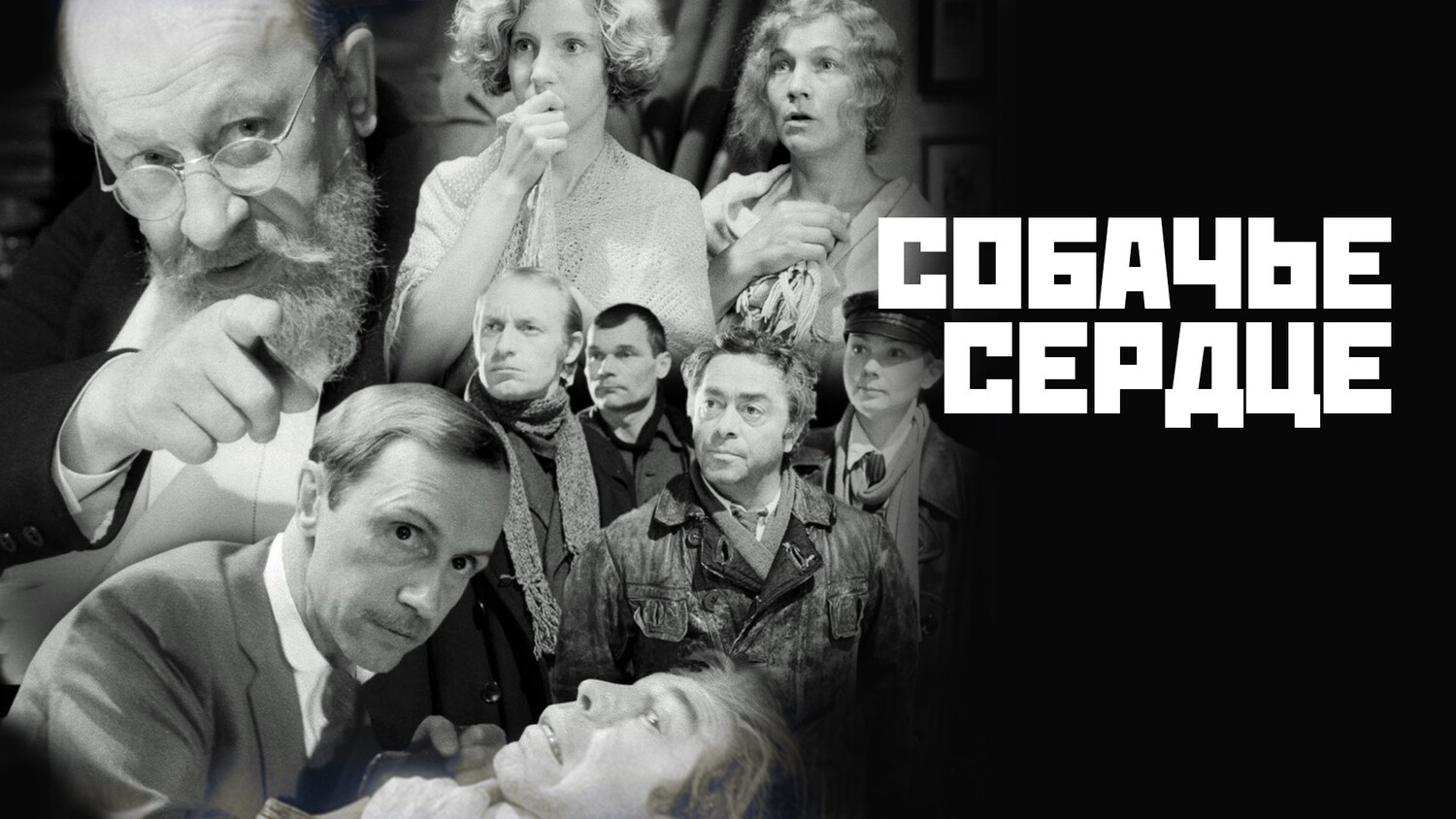 Собачье сердце 1 серия  (фильм, 1988)