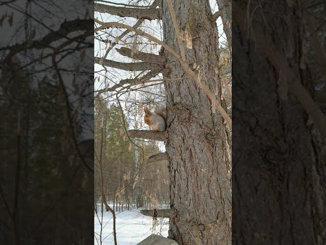 В Дендропарке