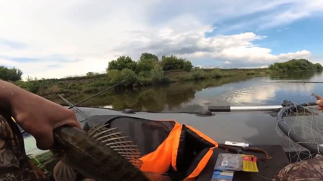 ЛОВЛЯ САЗАНА, СУДАКА НА ДЖИГ, ЛЕТОМ.mp4
