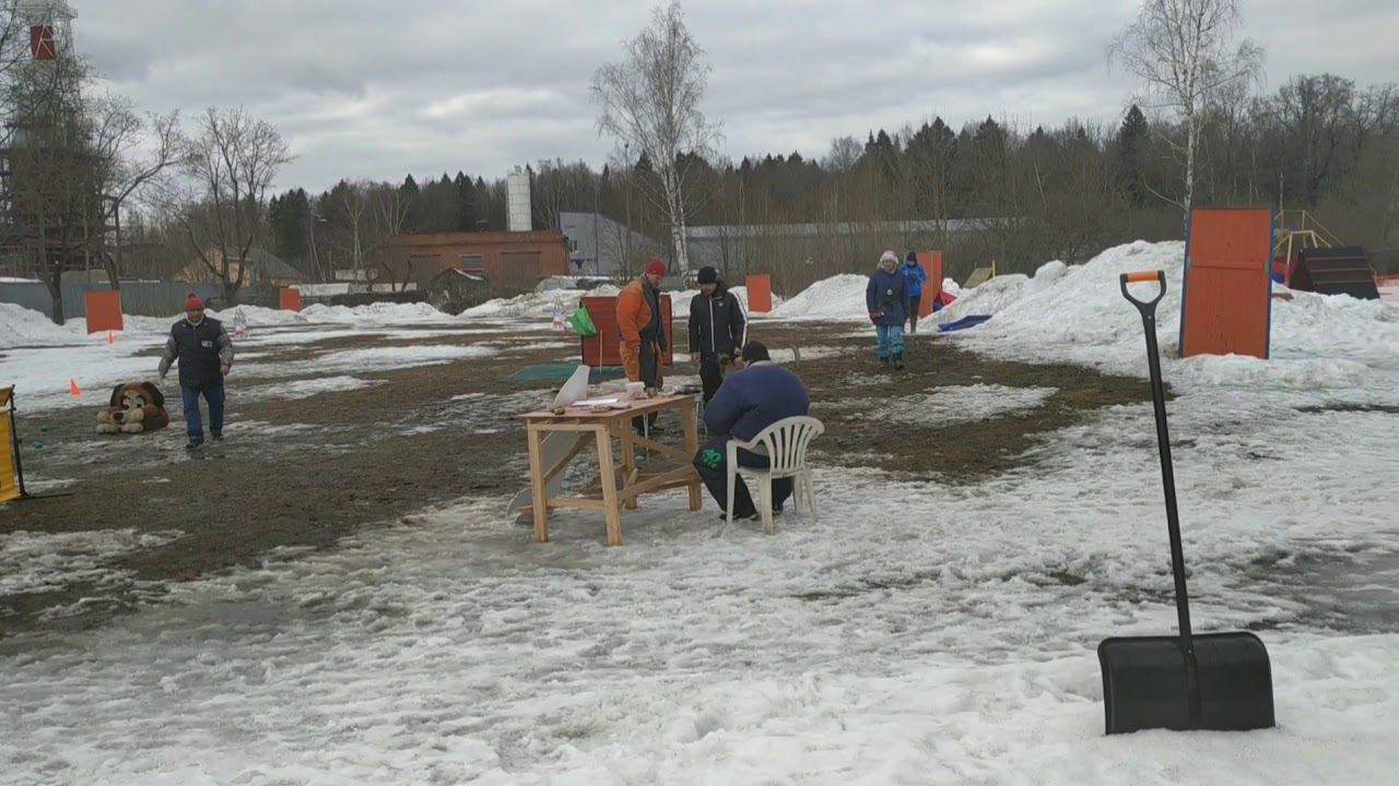 МОНДЬОРИНГ 23.03.19.ЗАЩИТА ПРОВОДНИКА