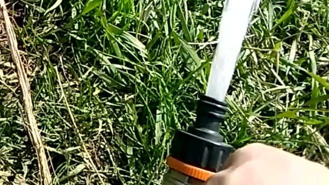 Полив моркови пластиковыми трубами своими руками