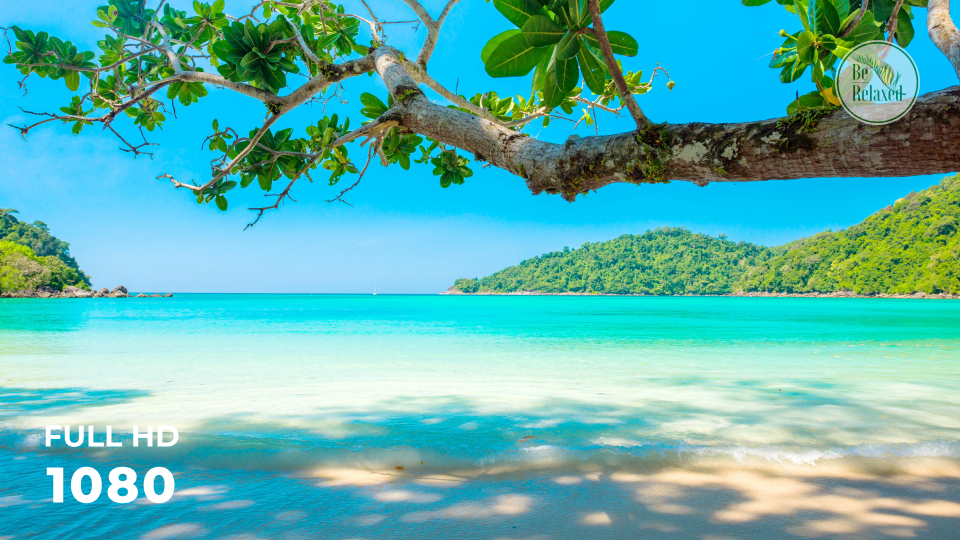 КАРИБЫ | Звуки прибоя | Морской прибой | Медитация у океана