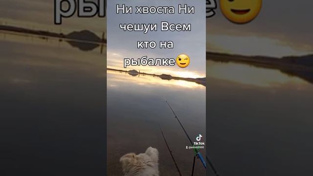 всем доброе утро!А всем тем,кто на рыбалке ,ни хвоста ни чешуи!!!