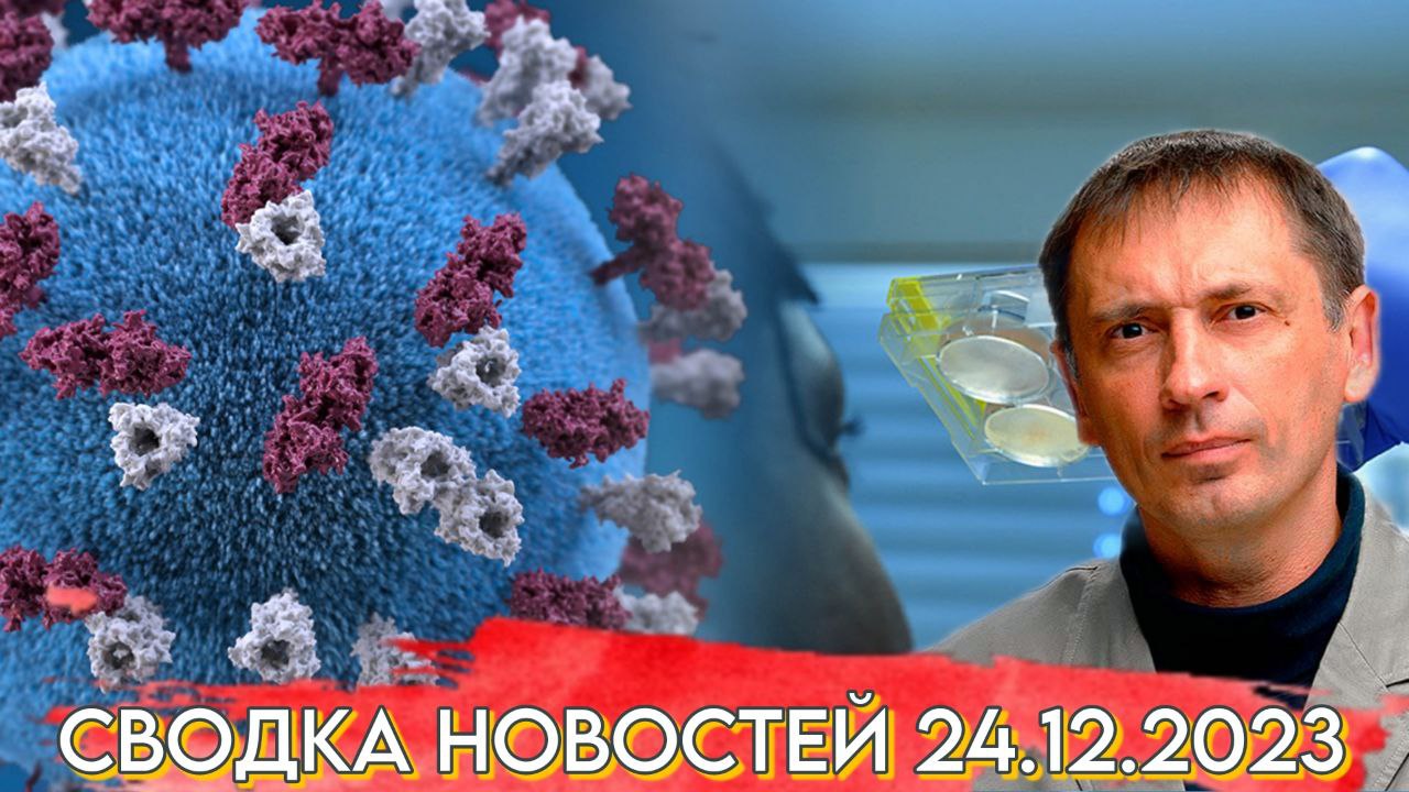 ВОЗ заявила, что заболеваемость COVID-19 в мире выросла за 28 дней на 52%