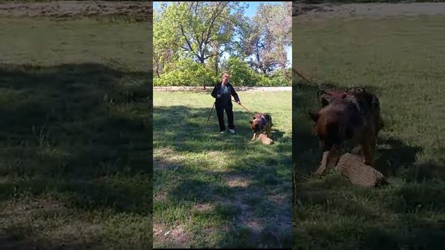 Баларис Челси - первый тренинг по защите