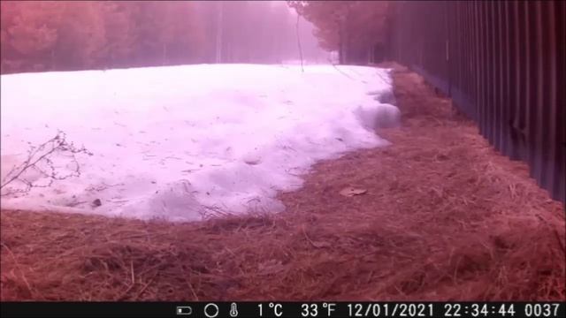 Движуха за забором.mp4