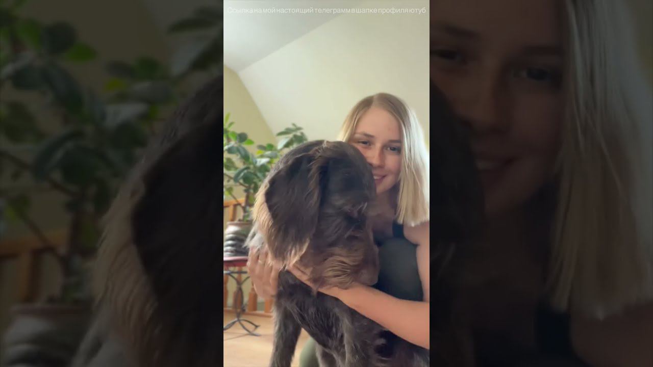 Как дать собаке таблетку? / How to give a dog a pill?