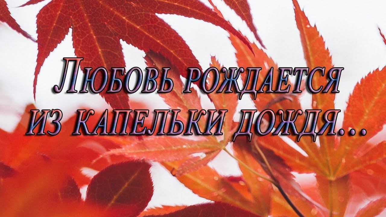 Любовь рождается из капельки дождя  *  Ирина Белякова