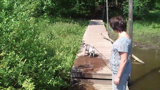 Август,О.Митяев