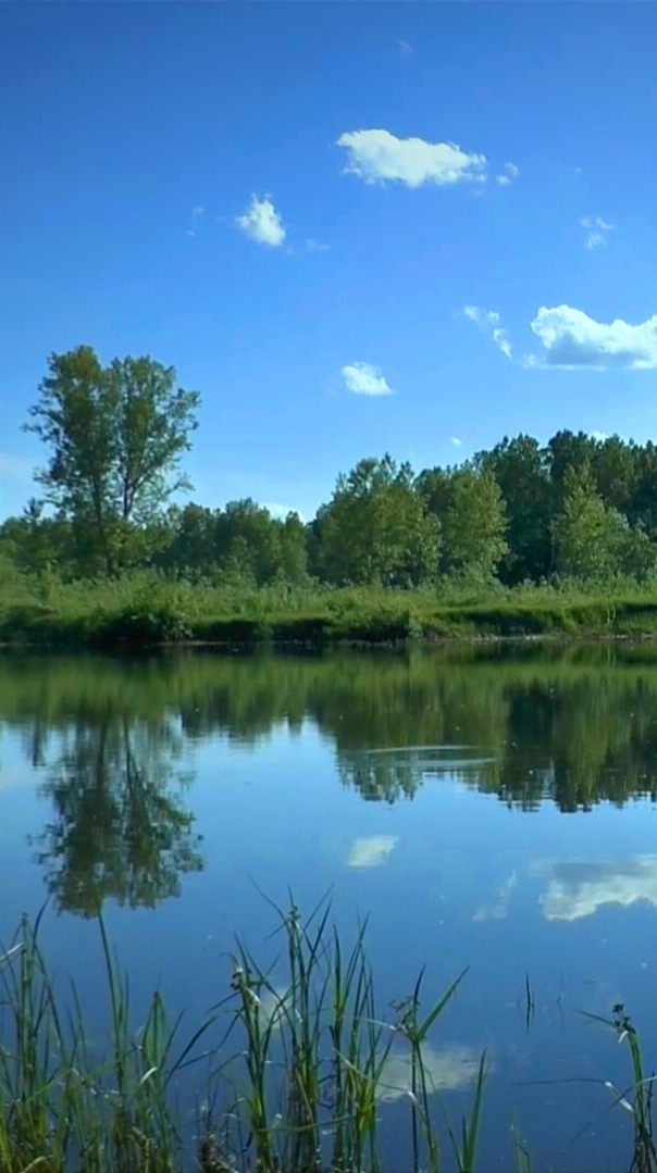 Дикое озеро