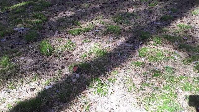 И снова я там, где отдыхает душа!