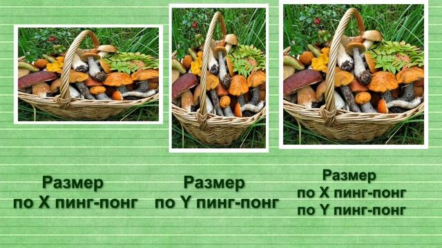 Модификаторы  Размеры.PTE AV Studio