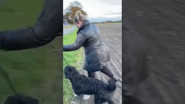 Судя по прикольным последствием, что-то интересное произошло.