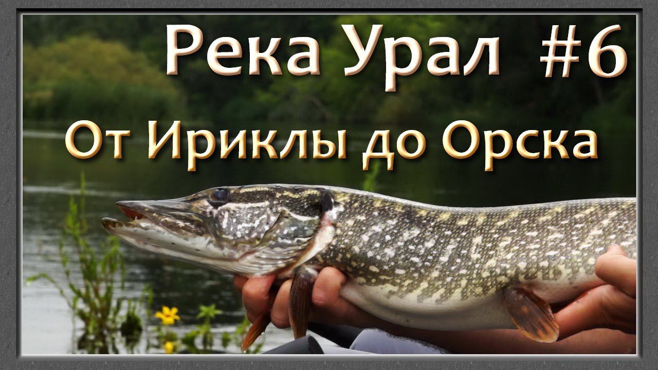 Река Урал: от истока и до устья. Серия 6 -- От Ириклы до Орска