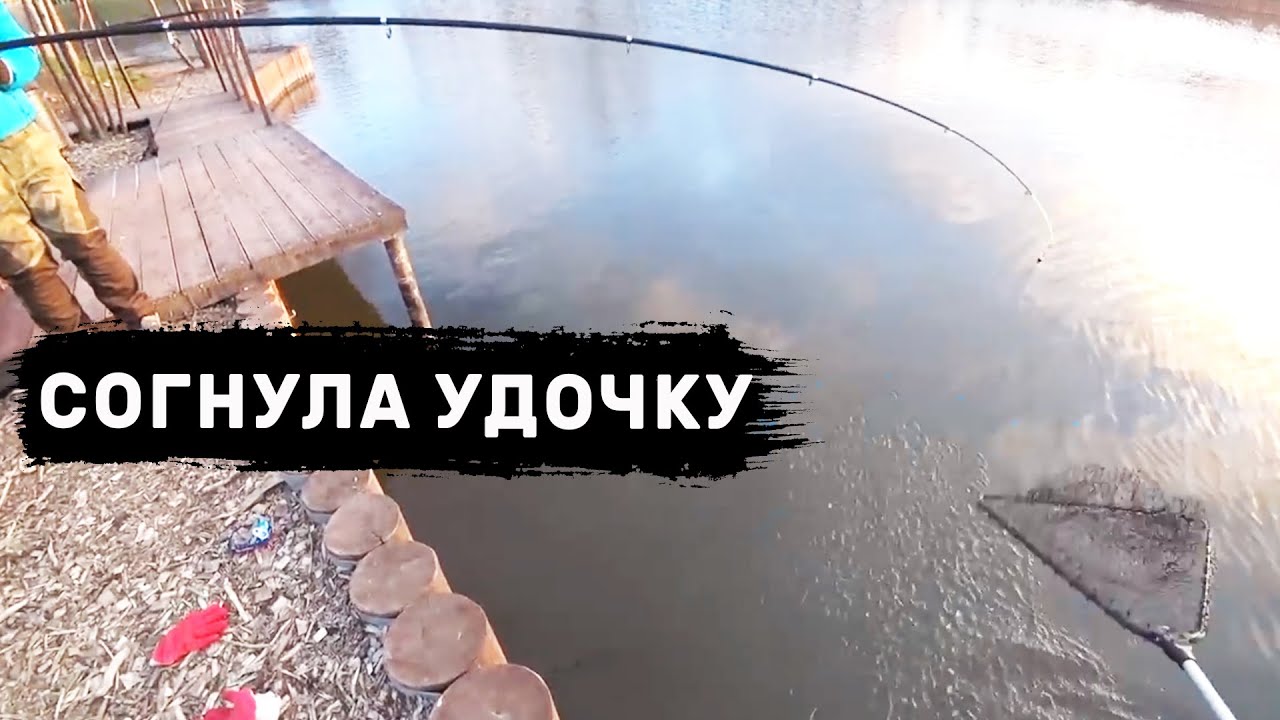 В дом полезли мыши _ Рыбалка с бонусом. [Жизнь в деревне]