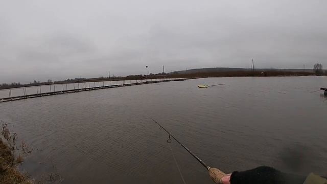 Ловля форели в Московской области.