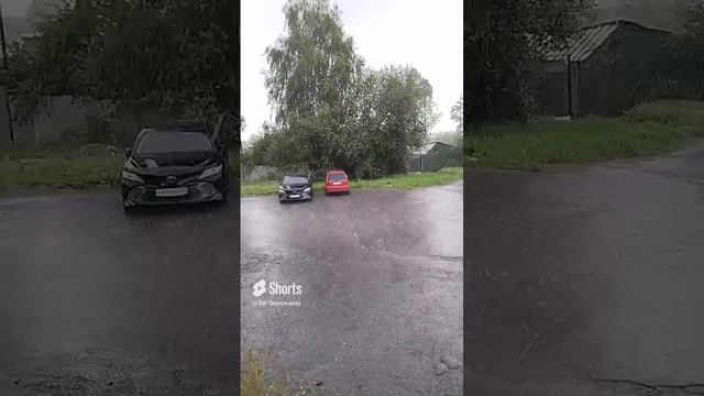 Опять дождь.