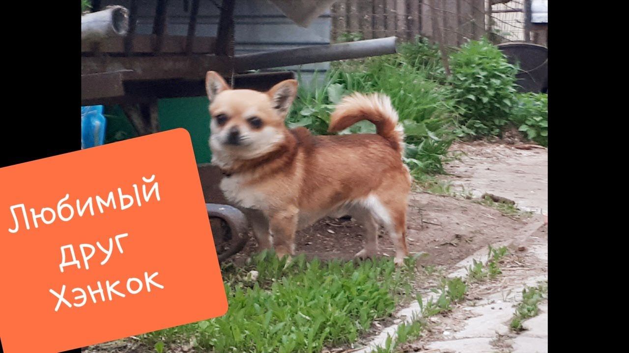 Любимый Друг Хэнкок (Харлей Девидсон х Л Ореаль)