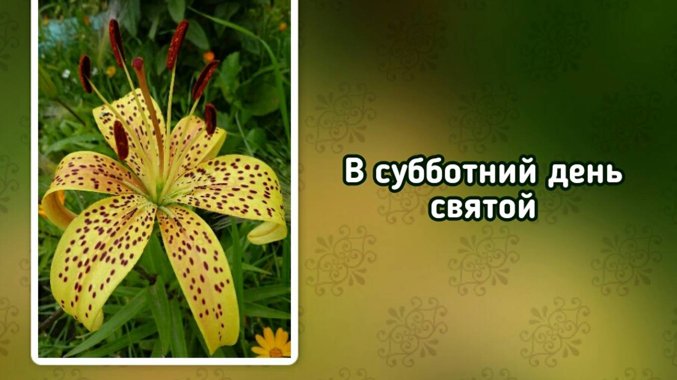 В субботний день святой (+)