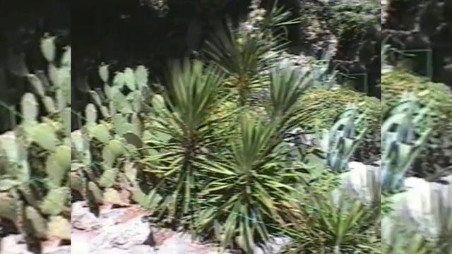 КРЫМ 2010. ЧАСТЬ 2