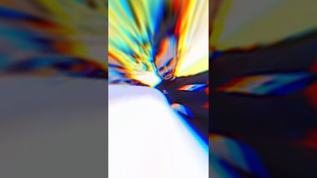 Поддержка красно-белых на регбийном матче РК Фили vs РК Спартак