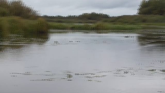 Хорватское яйцо в октябре. Рыбалка на реке Березина.