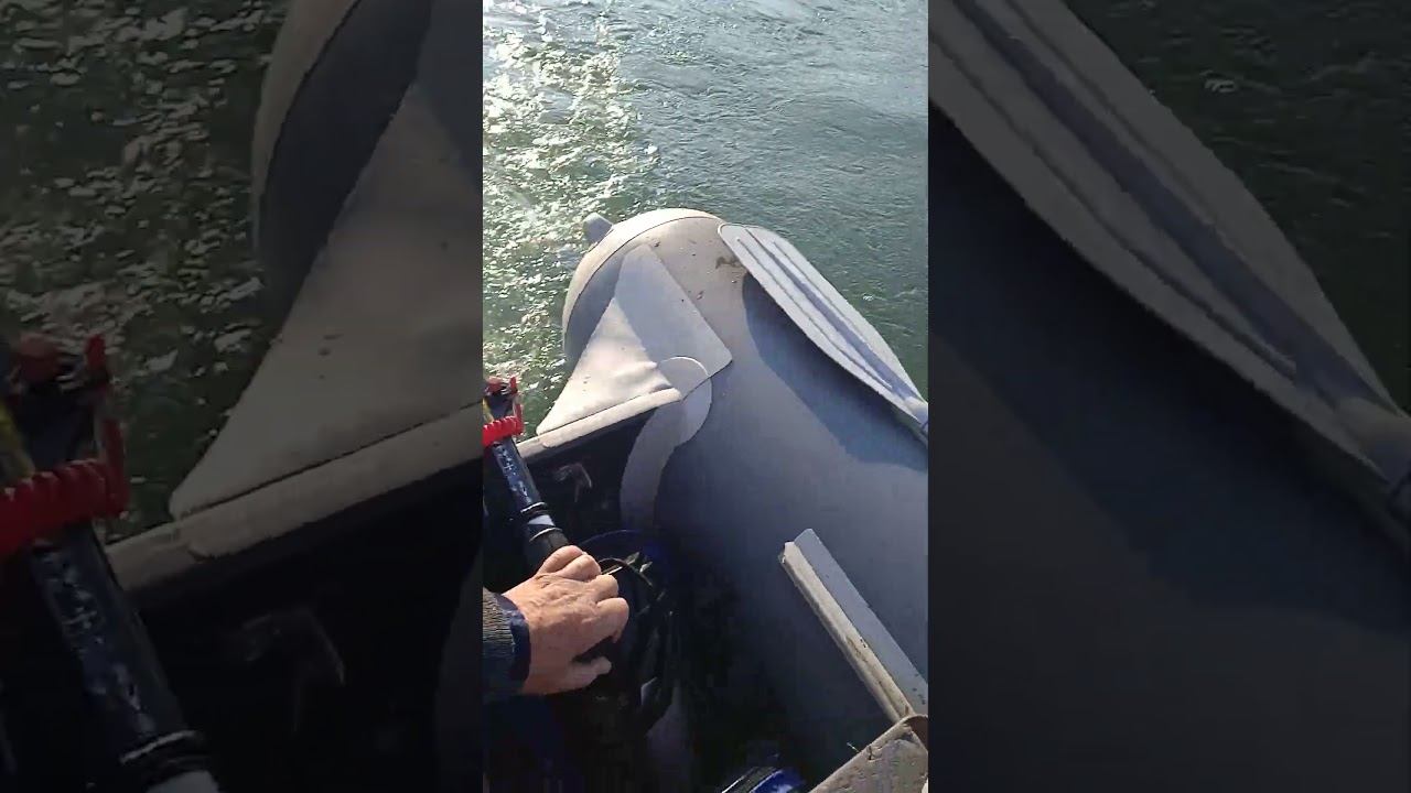 TOYAMA первый выход