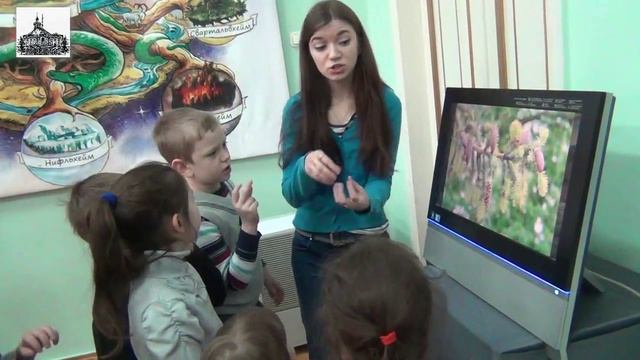 Сказка о лесной красавице