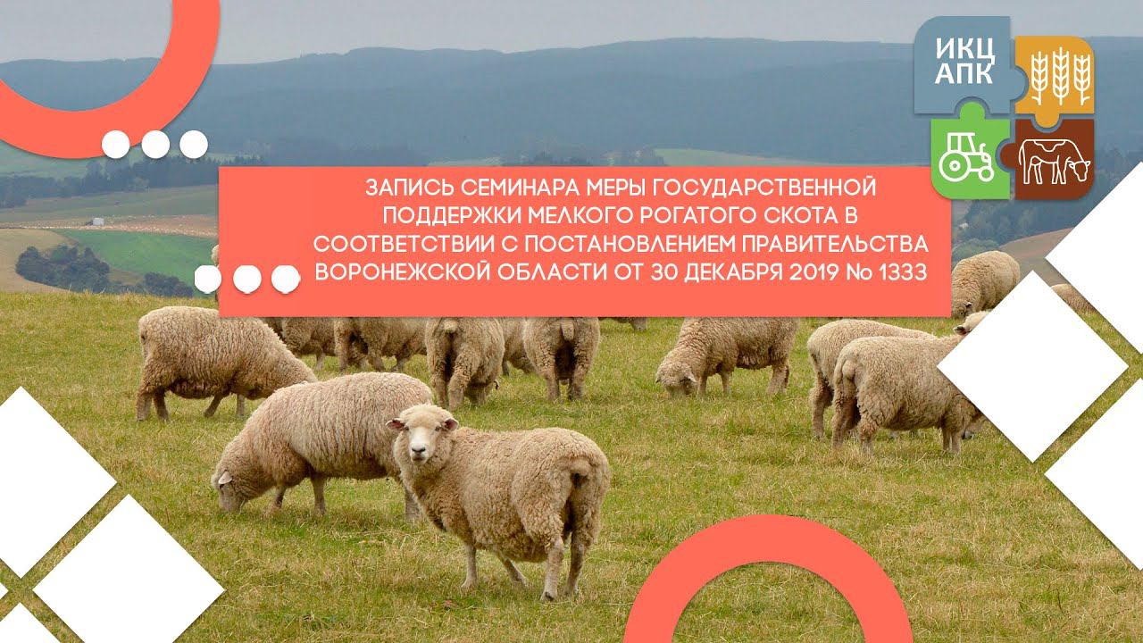 Запись семинара от 22 марта 2022 года