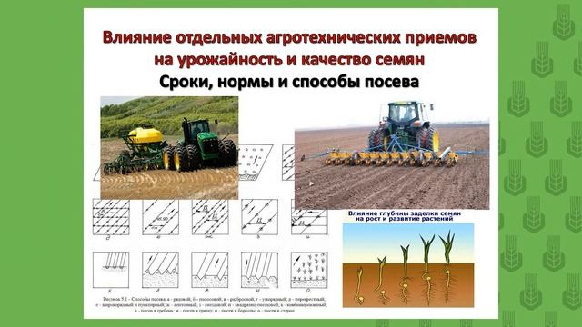 2.2 Растениеводство