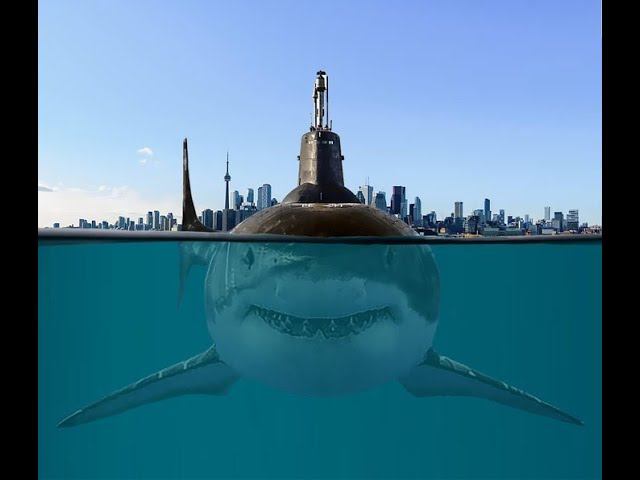 #Боцман. #Попугая с плеча, #старый боцман....