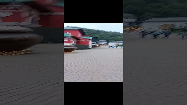 интерактивная выставка Моя Россия Роза Хутор Адлер Сочи