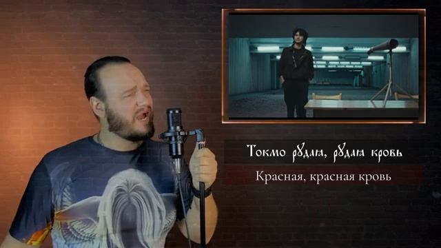 ЦОЙ - ЗВЕЗДА ПО ИМЕНИ СОЛНЦЕ на древнем русском _ кавер Романа Боброва