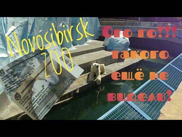 #Новосибирск. Прогулка по Зоопарку им.Шило. Реакция и эмоции.