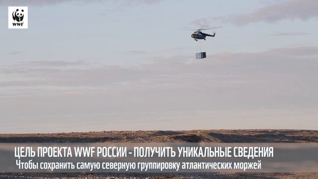 В «Русской Арктике» появился дом для ученых на Большом Оранском острове Новой Земли