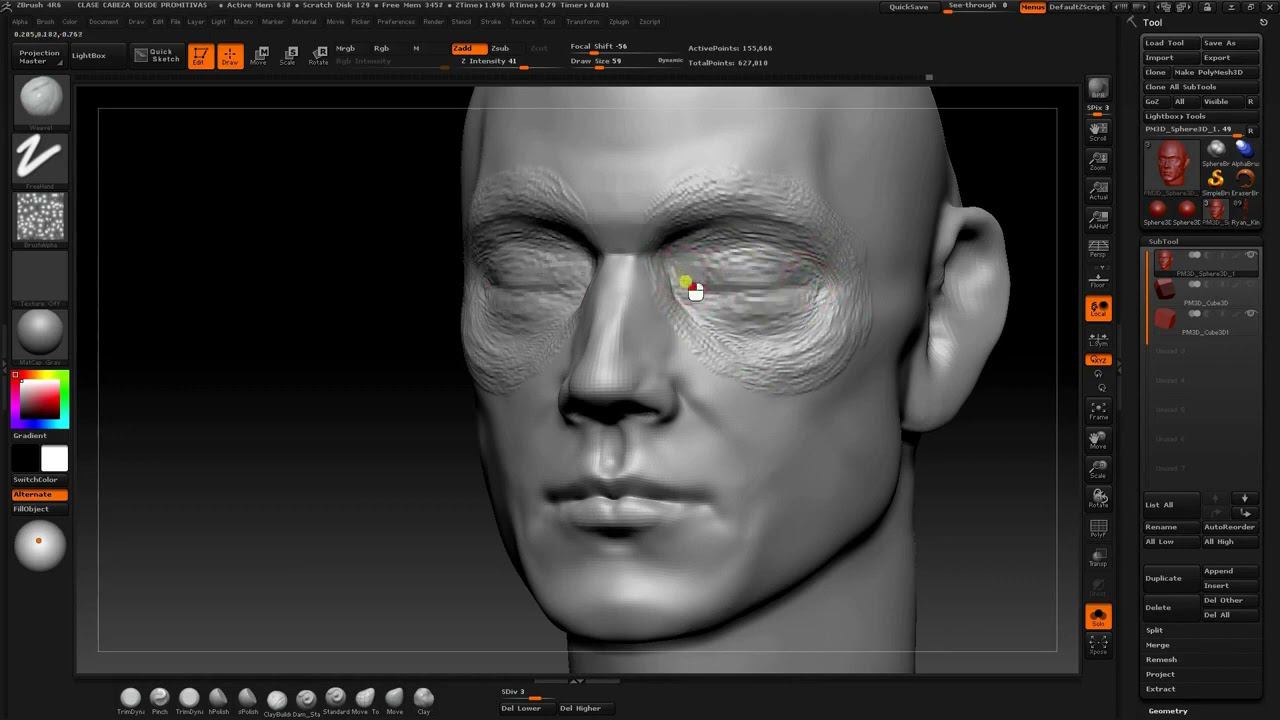 Anat Vol 02 12  General Features 1 5