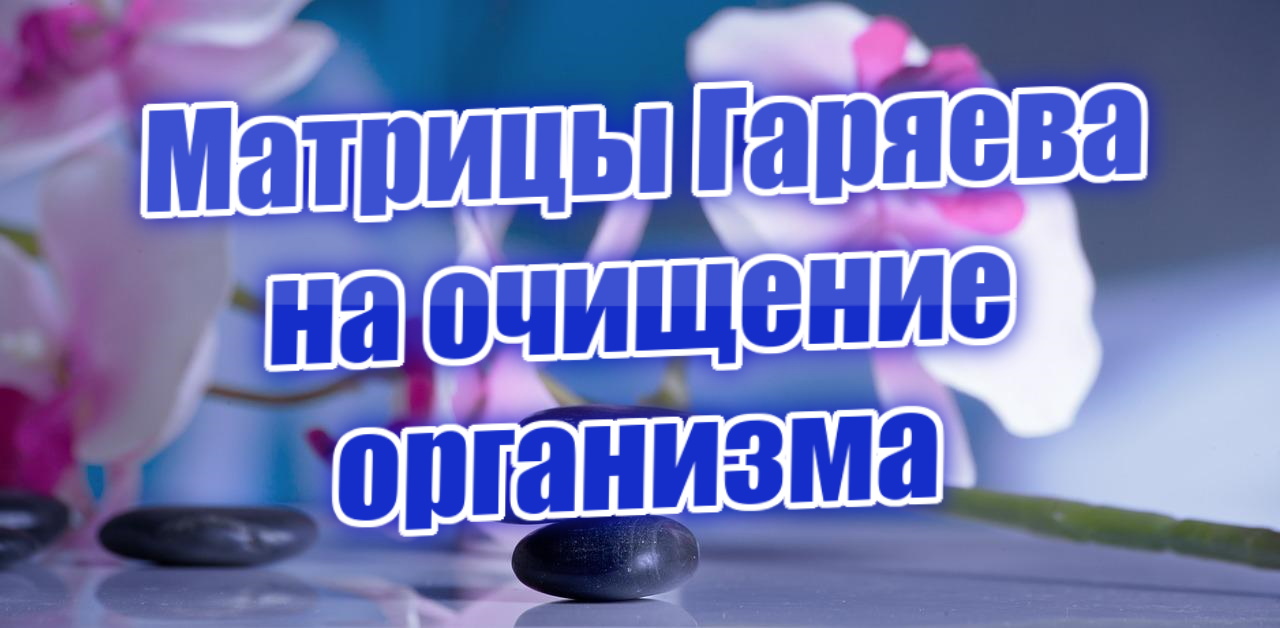 Матрица Гаряева на очищение организма