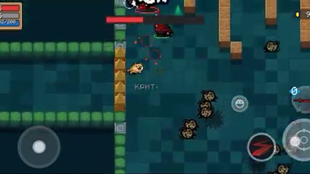 Редкость! (нет)