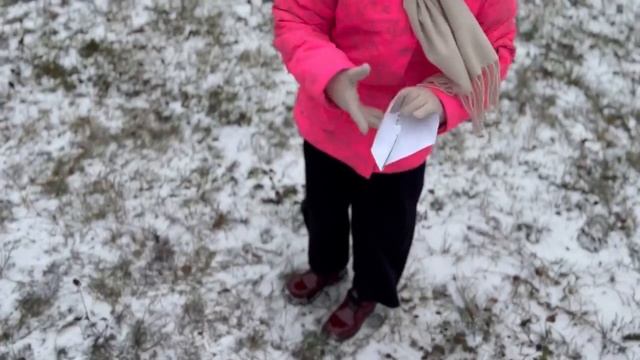 Буктрейлер "Невероятные приключения"