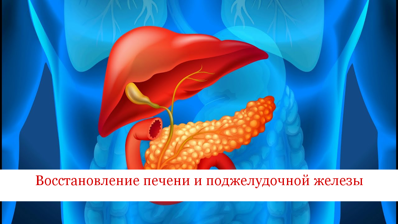 Недорогие препараты для восстановления печени