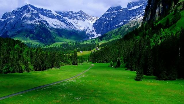 Back To Earth. Walk Through Autumn Leaves